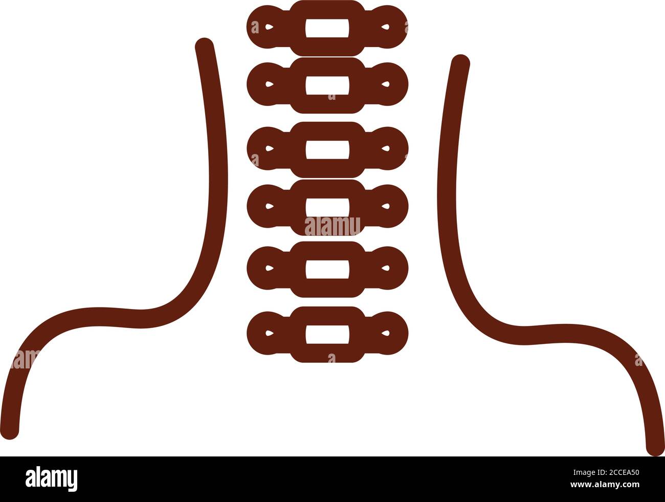 Vertebrae cervicales Stock-Vektorgrafiken kaufen - Alamy