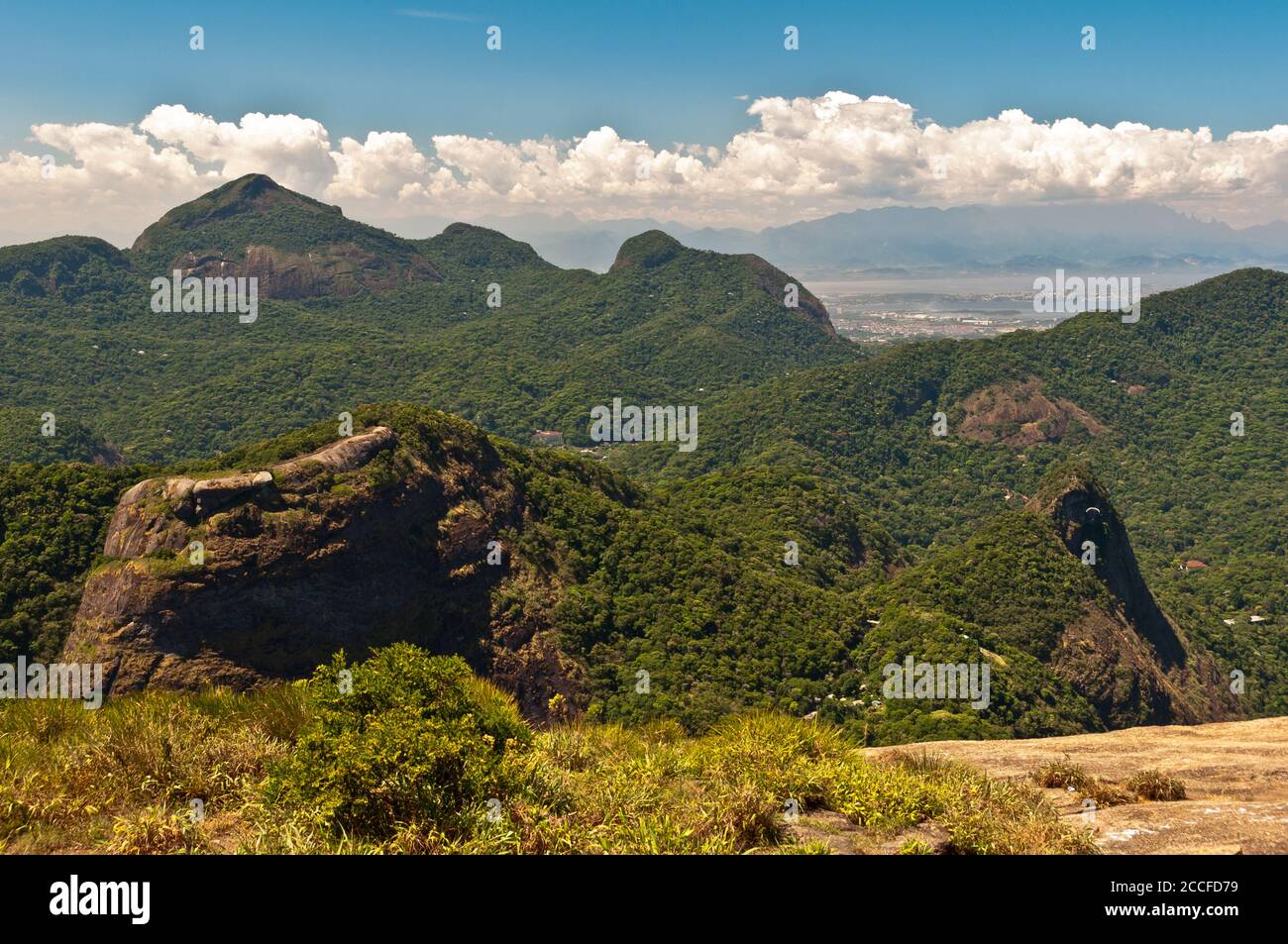 Tijuca wald -Fotos und -Bildmaterial in hoher Auflösung – Alamy