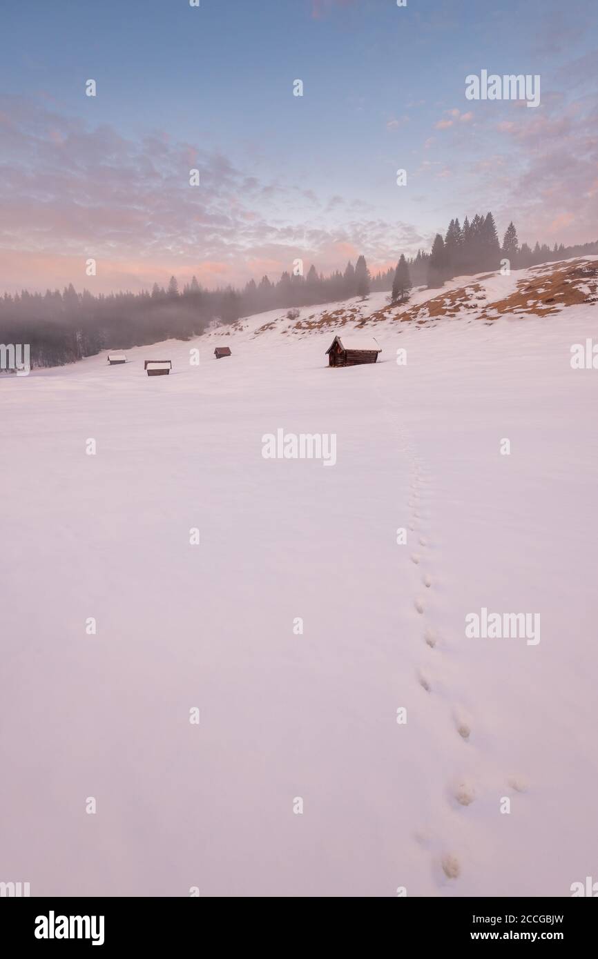 Fuchsspuren im schnee -Fotos und -Bildmaterial in hoher Auflösung – Alamy