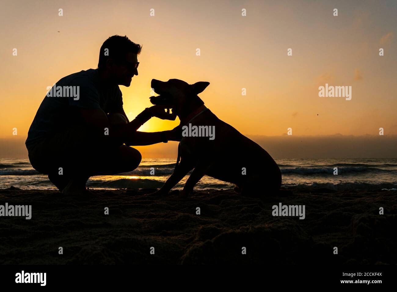 Silhouette mann mit hund -Fotos und -Bildmaterial in hoher Auflösung ...