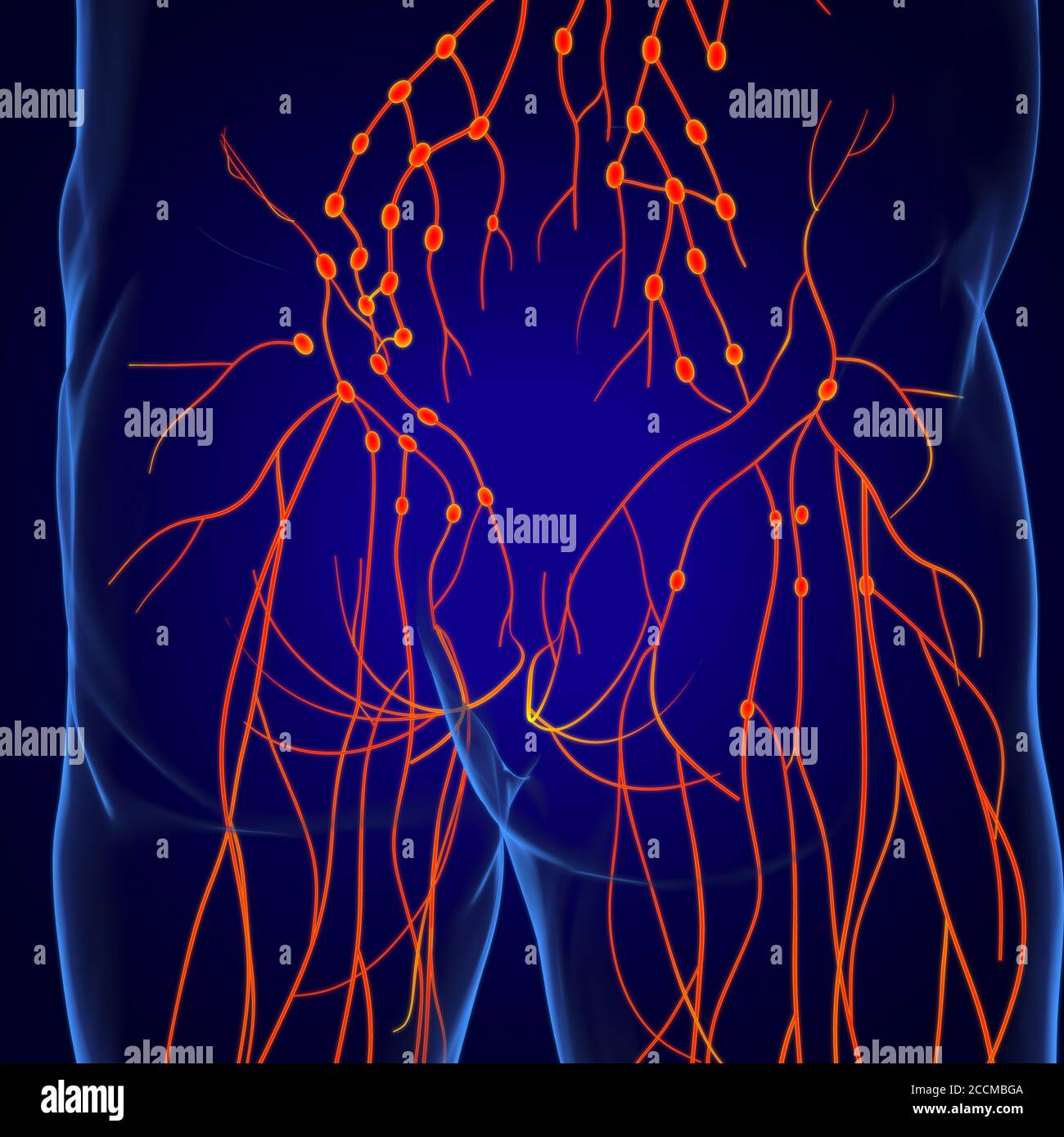 Lymphknoten kopf -Fotos und -Bildmaterial in hoher Auflösung – Alamy