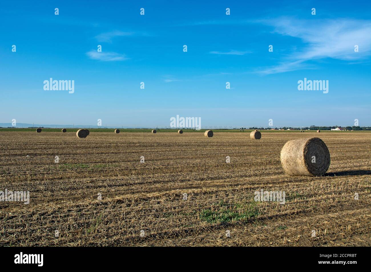Ernte von gerste -Fotos und -Bildmaterial in hoher Auflösung – Alamy