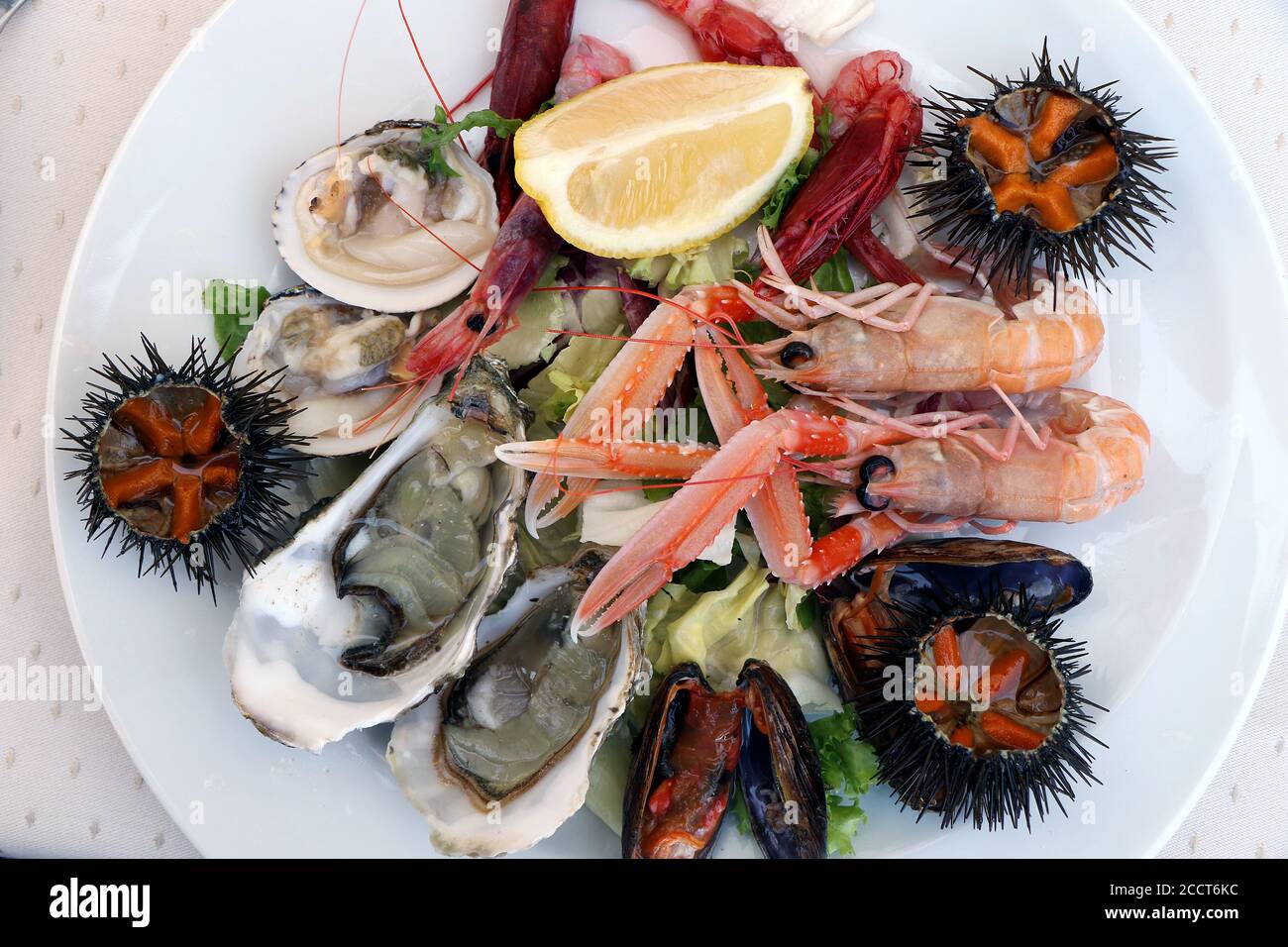 Platte mit dublin bay prawn oder norwegen hummer oder scampi -Fotos und ...