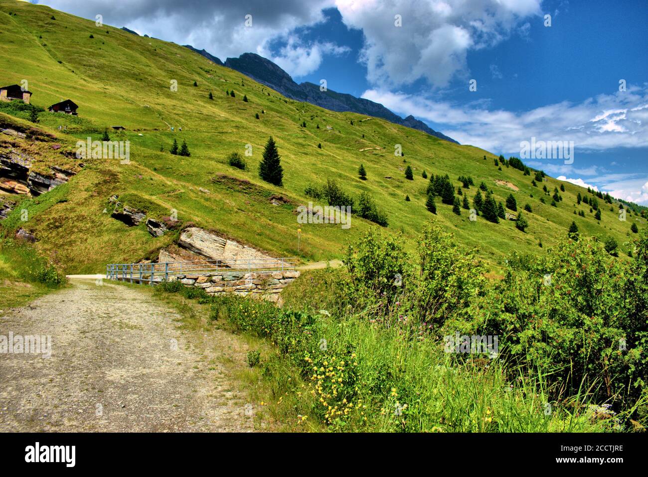 Alpenpanorama in Vals in der Schweiz Stockfotografie - Alamy