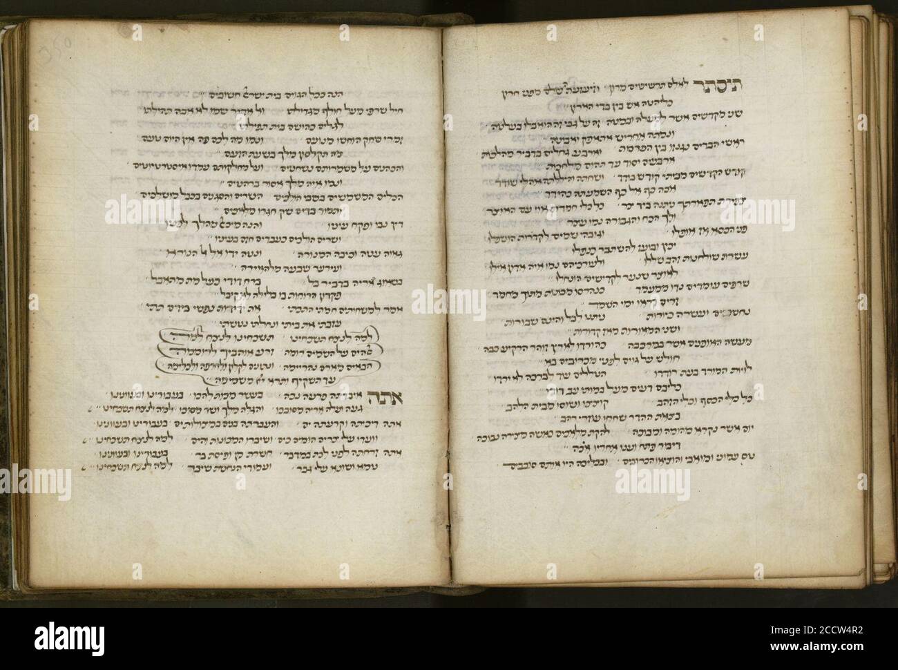 Buche 350 -Fotos und -Bildmaterial in hoher Auflösung – Alamy