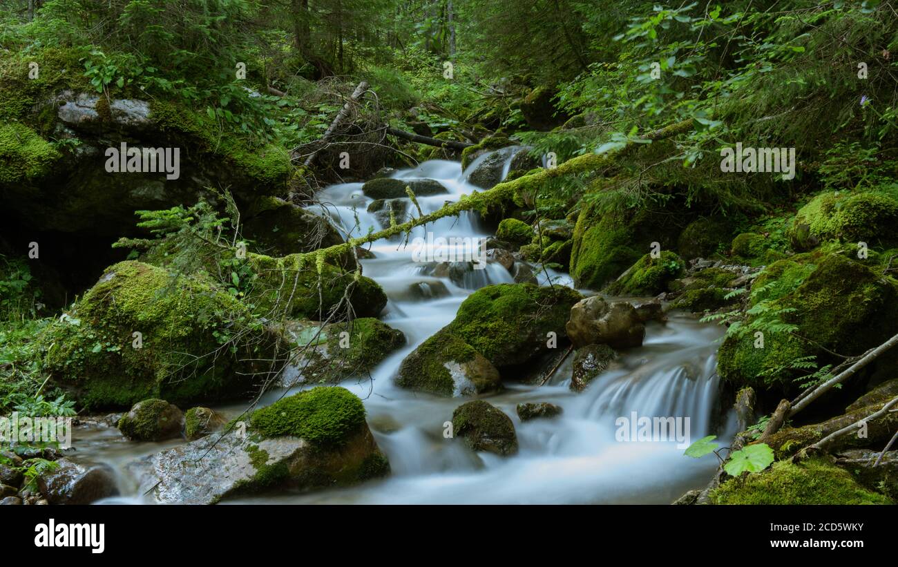 Wasserfall in schweizer alpen -Fotos und -Bildmaterial in hoher ...