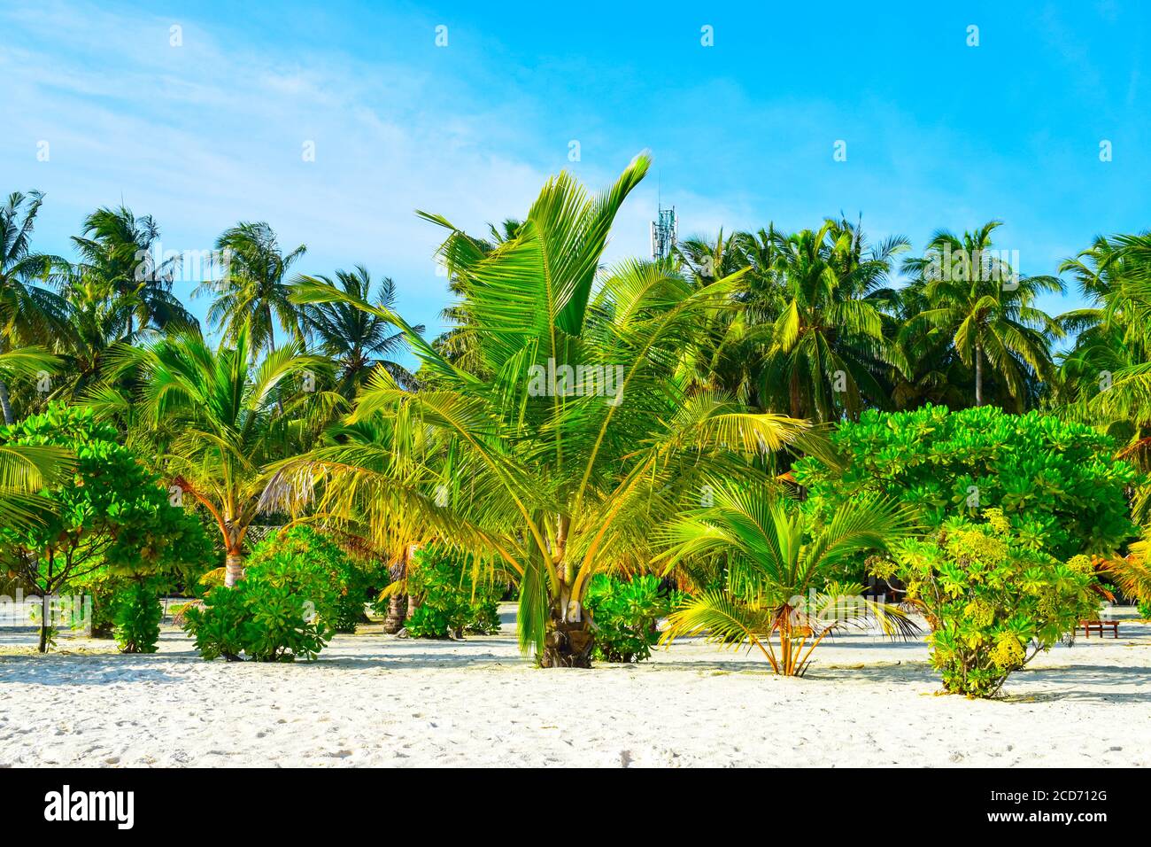Maldives Island White Sand Resort Stockfotos und -bilder Kaufen - Alamy