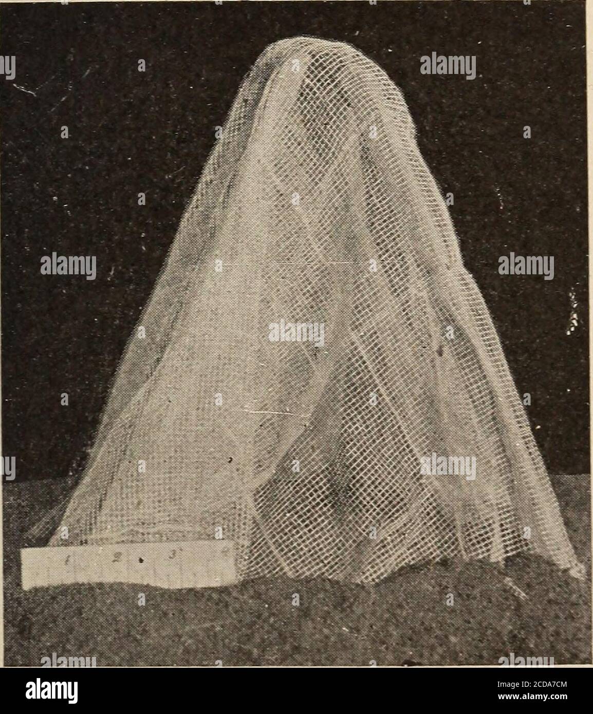 Hohlraum in der erde -Fotos und -Bildmaterial in hoher Auflösung – Alamy