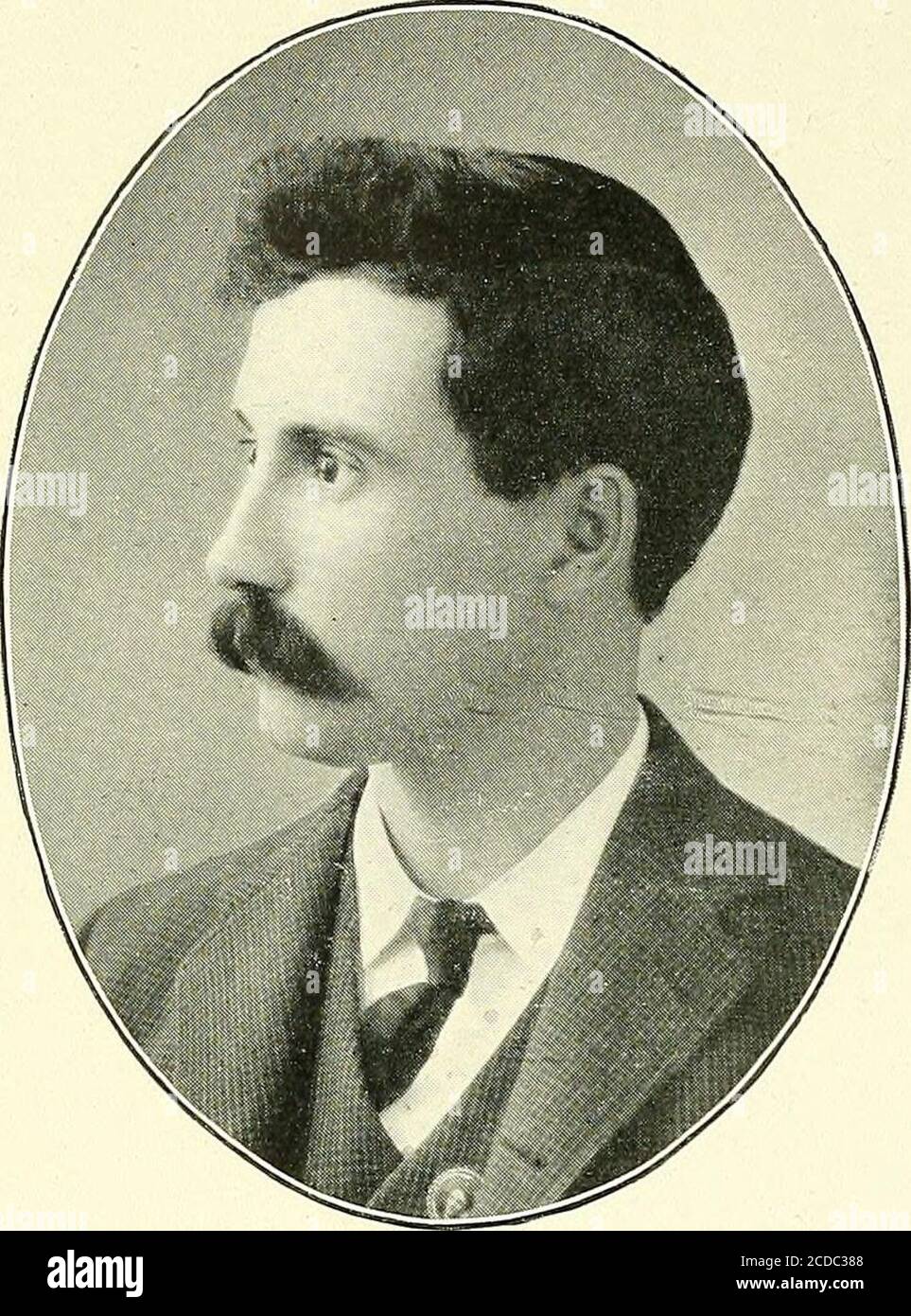 Kiewel at -Fotos und -Bildmaterial in hoher Auflösung – Alamy