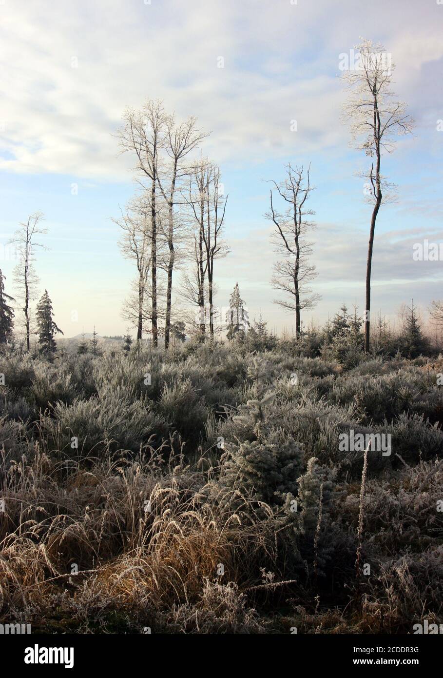Lothar Storm Stockfotos und -bilder Kaufen - Alamy