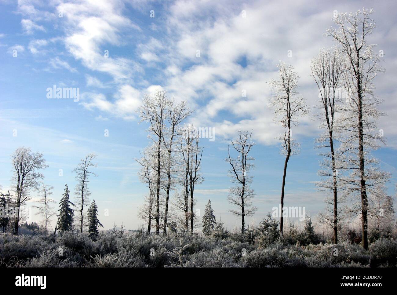 Lothar Storm Stockfotos und -bilder Kaufen - Alamy