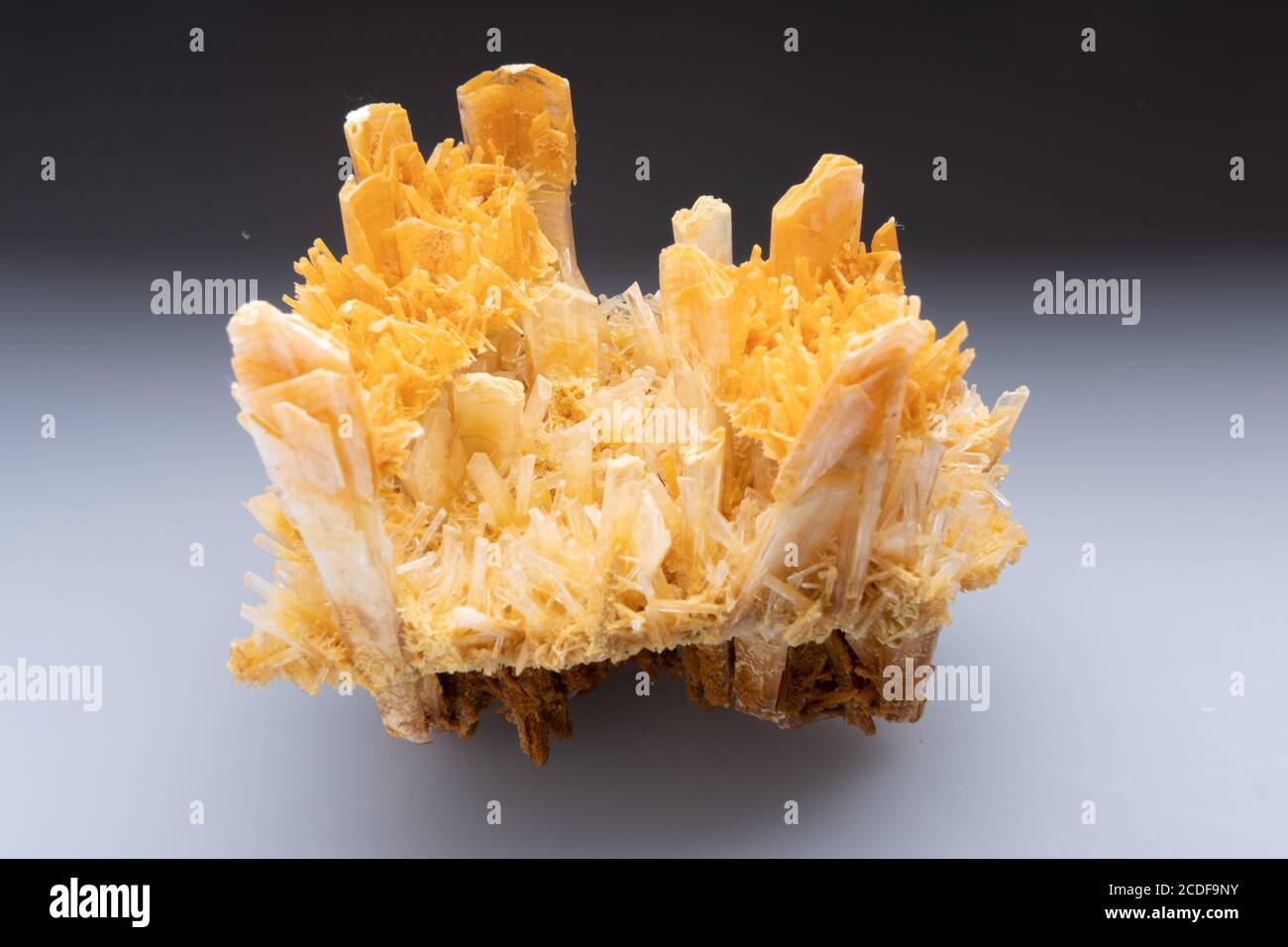 Gypsum mineral -Fotos und -Bildmaterial in hoher Auflösung – Alamy