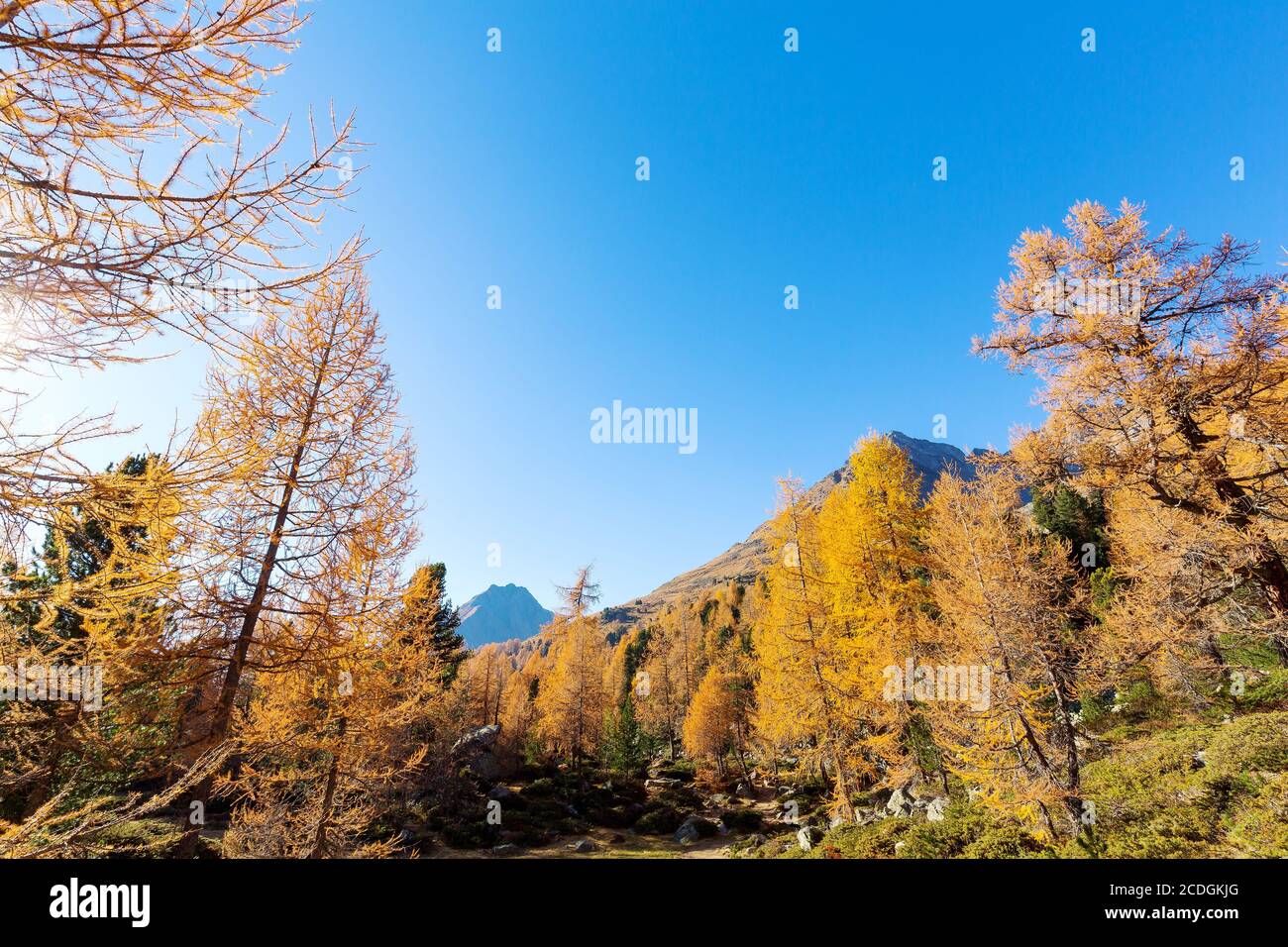 Val engadin -Fotos und -Bildmaterial in hoher Auflösung – Alamy
