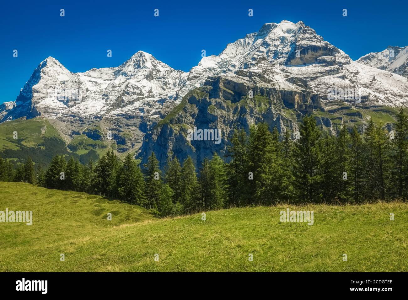 Atemberaubendes Alpenpanorama mit Gipfeln der berühmten Schweizer Berge ...