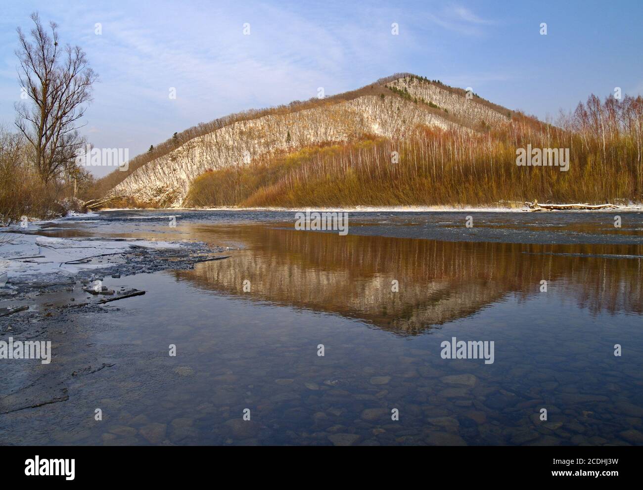 Ussuri taiga -Fotos und -Bildmaterial in hoher Auflösung – Alamy