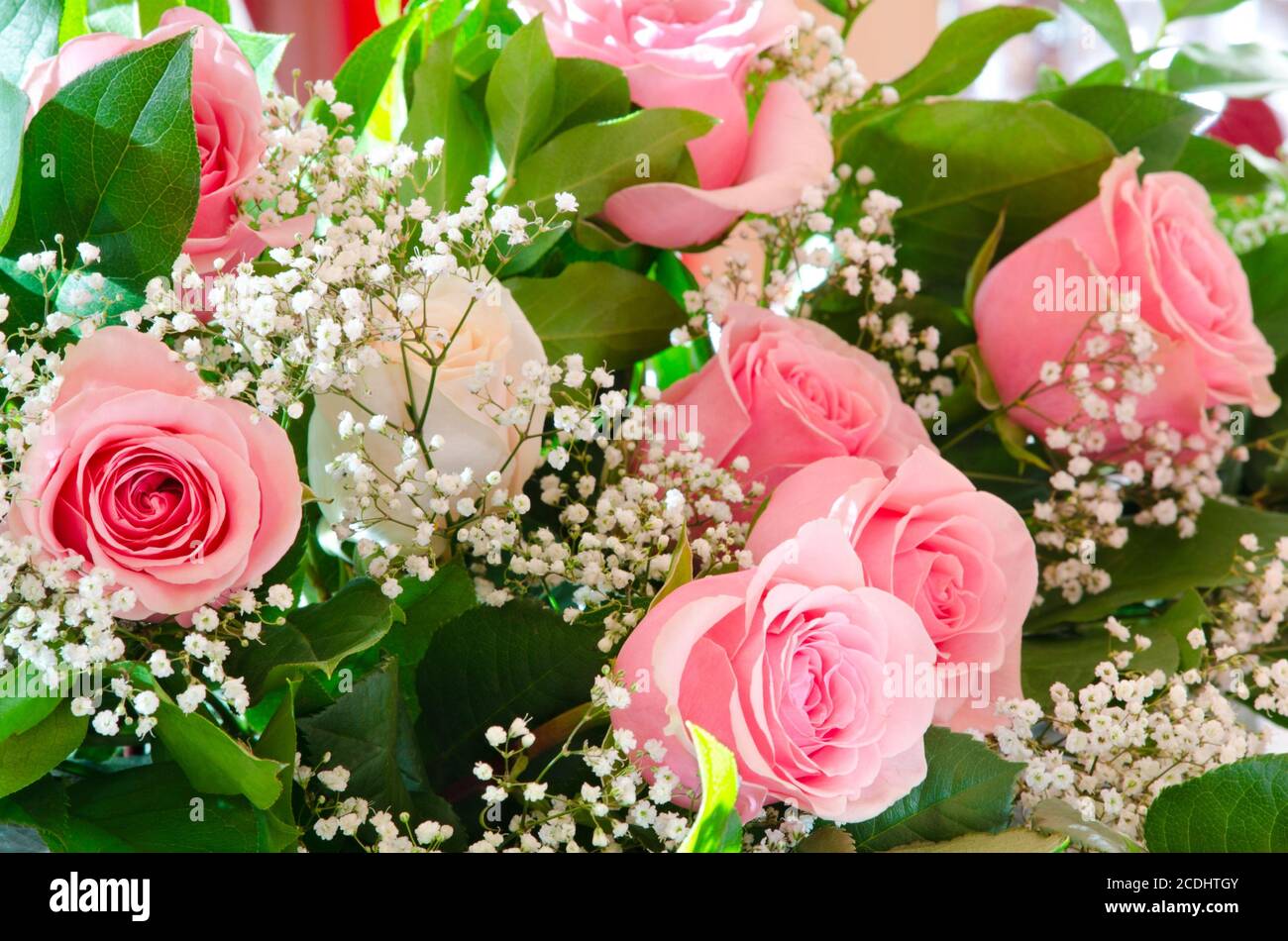 Zwei kleine rosen -Fotos und -Bildmaterial in hoher Auflösung – Alamy