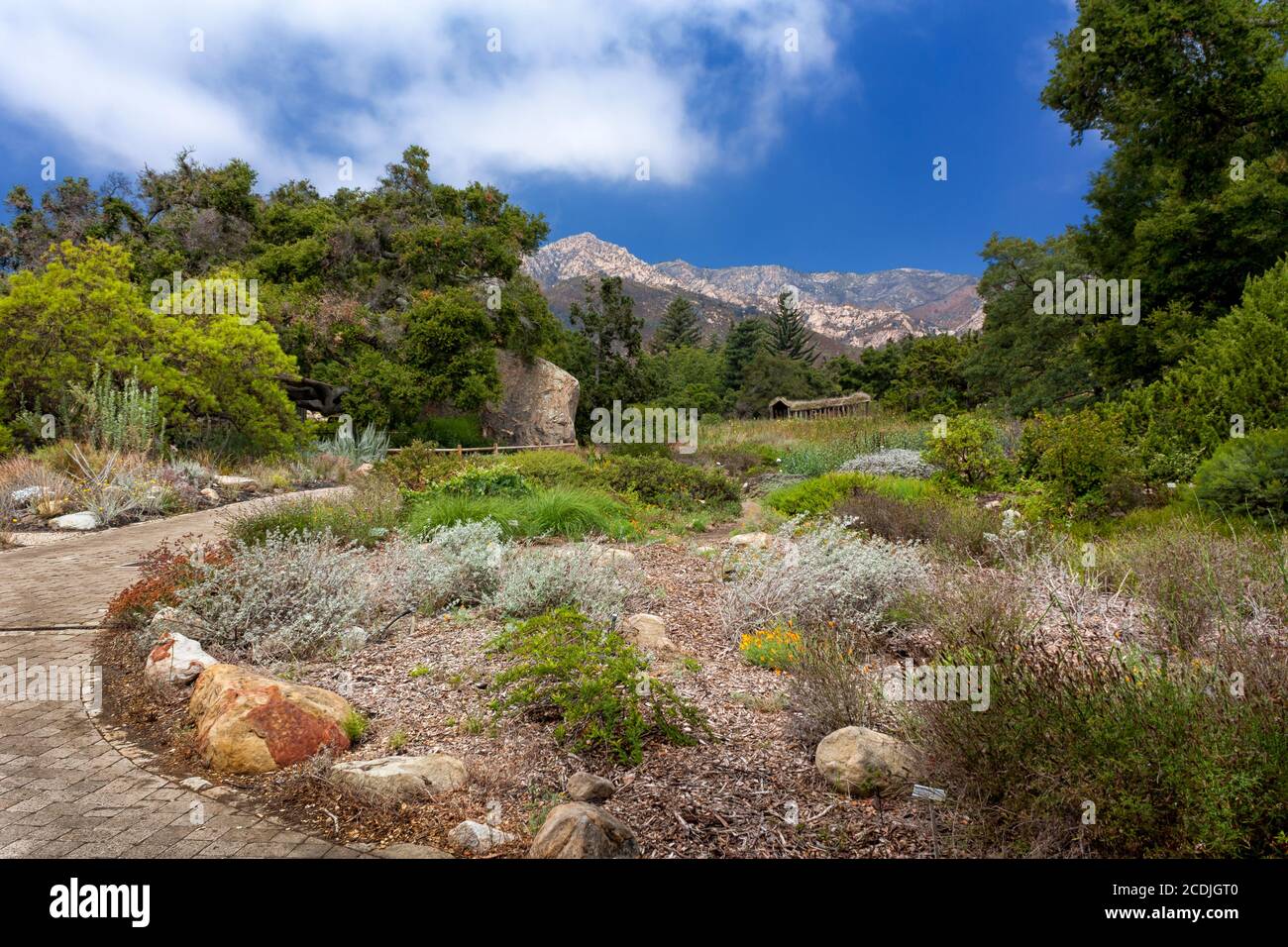 Botanischer garten santa barbara -Fotos und -Bildmaterial in hoher ...