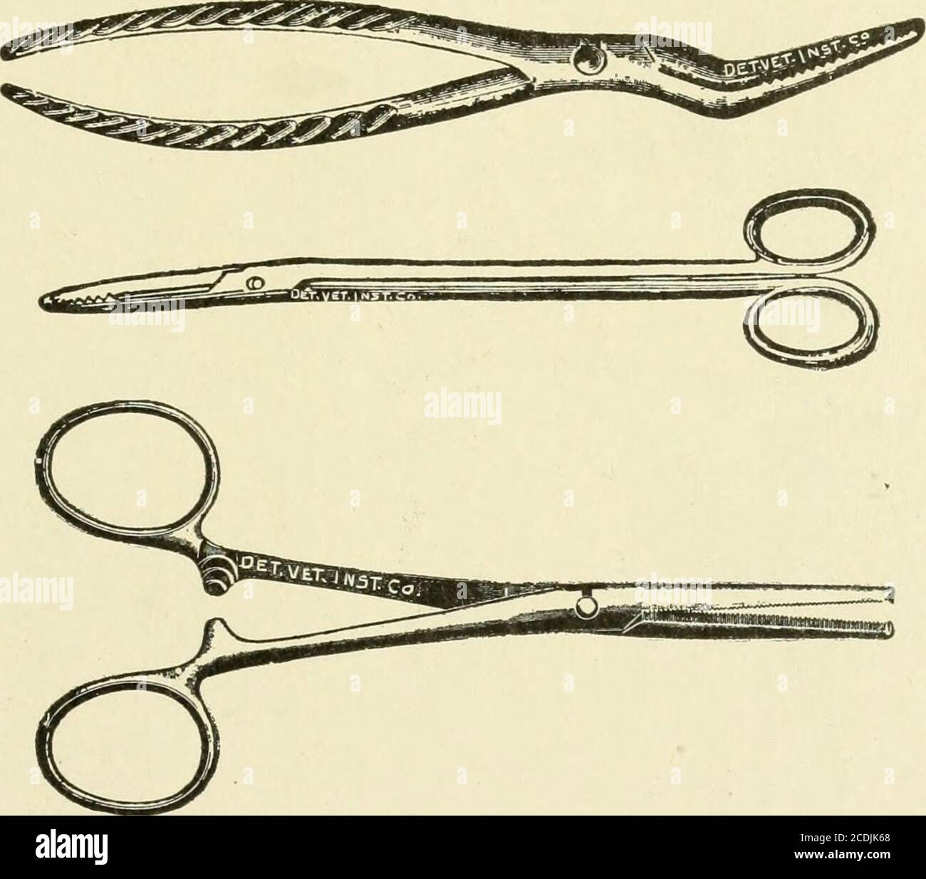 Tumore muscolare -Fotos und -Bildmaterial in hoher Auflösung – Alamy