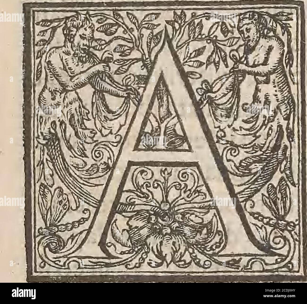 Ein bonis -Fotos und -Bildmaterial in hoher Auflösung – Alamy