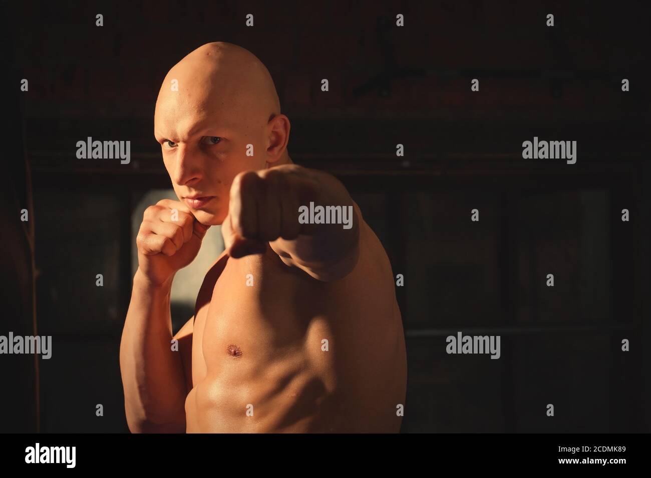 Aggressive augen -Fotos und -Bildmaterial in hoher Auflösung – Alamy