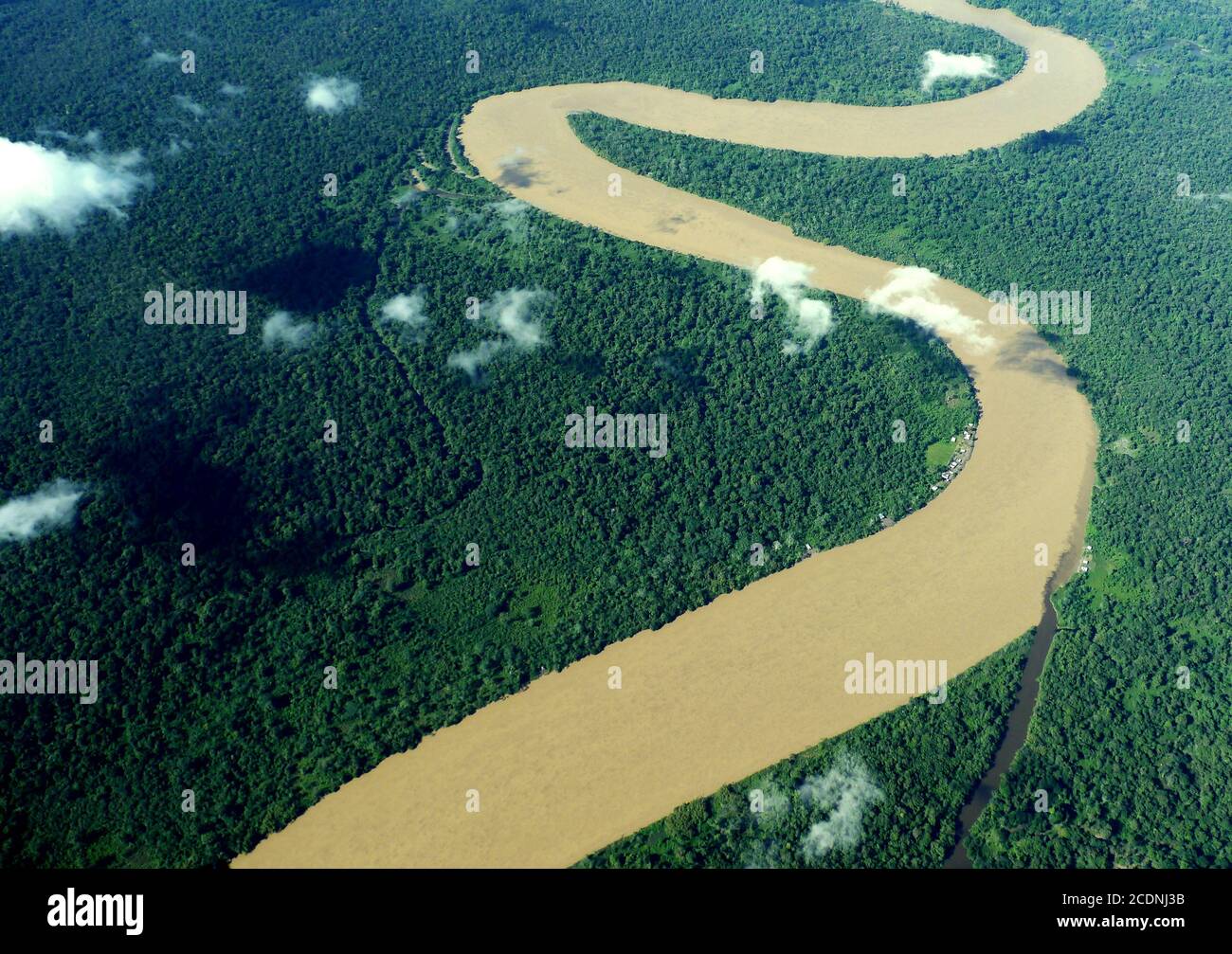 Amazon erfahrung -Fotos und -Bildmaterial in hoher Auflösung – Alamy