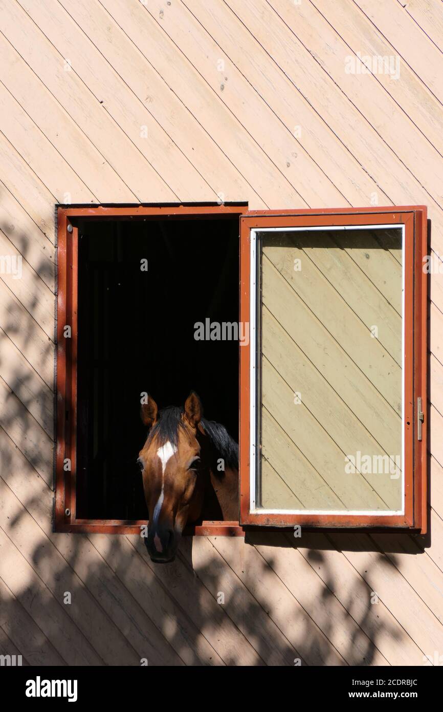 Kopfrahmen aus holz -Fotos und -Bildmaterial in hoher Auflösung – Alamy