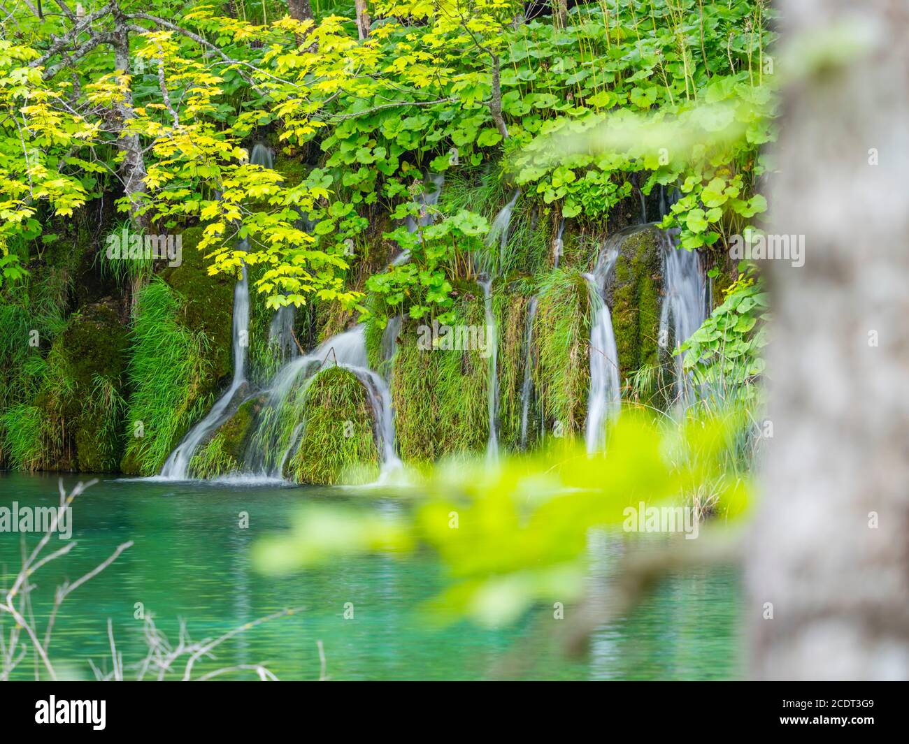 Mehrere mehrere Wasserfälle im Nationalpark Plitvicer Seen in Kroatien Europa Wasser fließenden ...