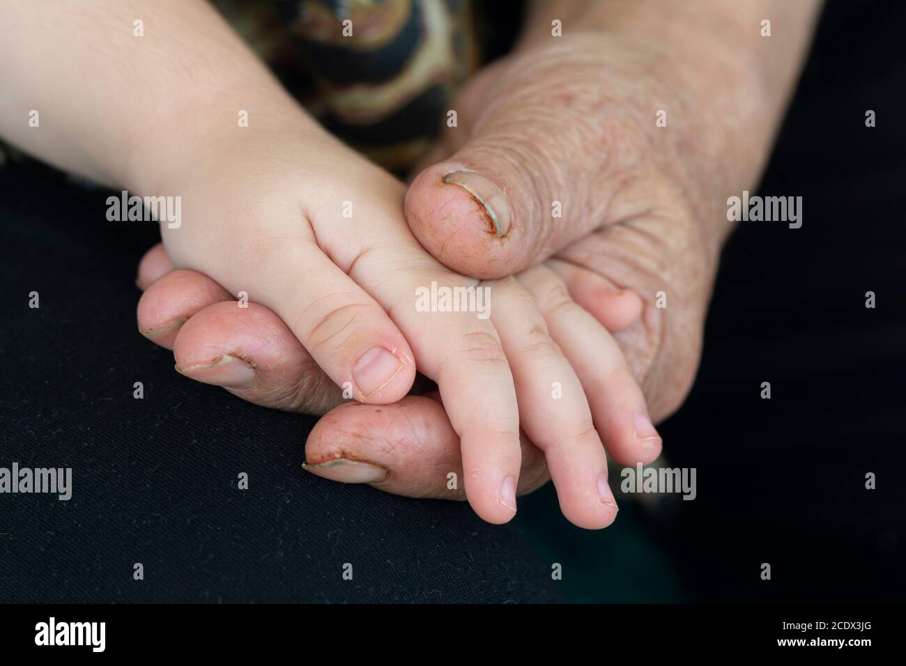Alt vs jung -Fotos und -Bildmaterial in hoher Auflösung – Alamy