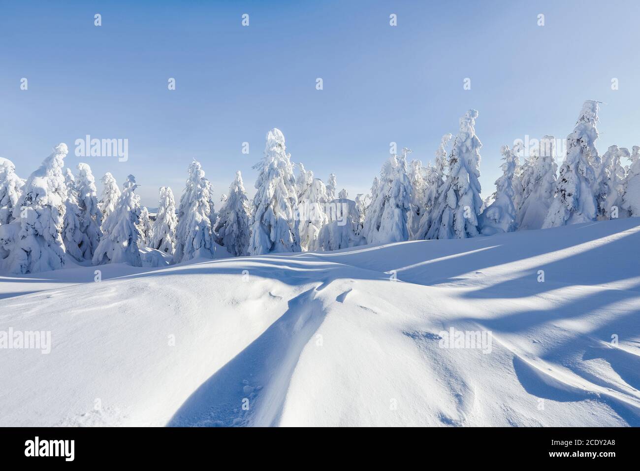 Eingeschneites Waldland Stockfotos und -bilder Kaufen - Alamy