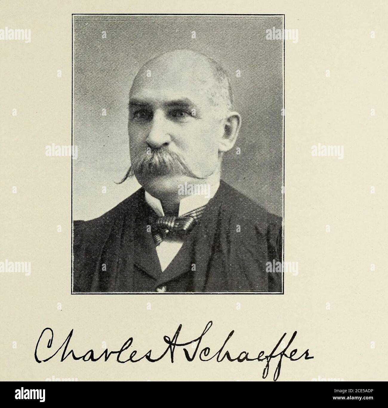Alexander griffith bauer -Fotos und -Bildmaterial in hoher Auflösung ...