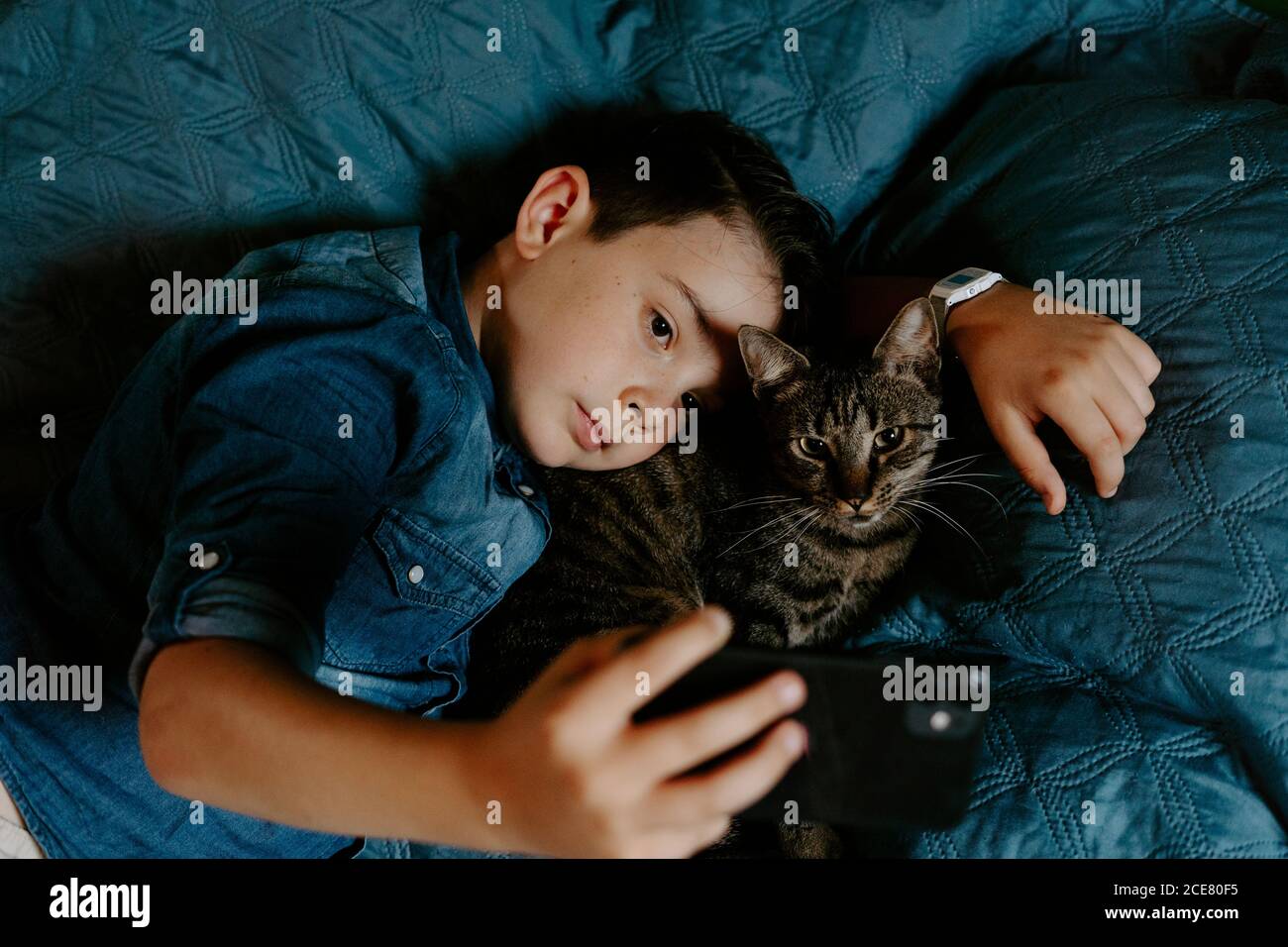 Katze selfie -Fotos und -Bildmaterial in hoher Auflösung – Alamy