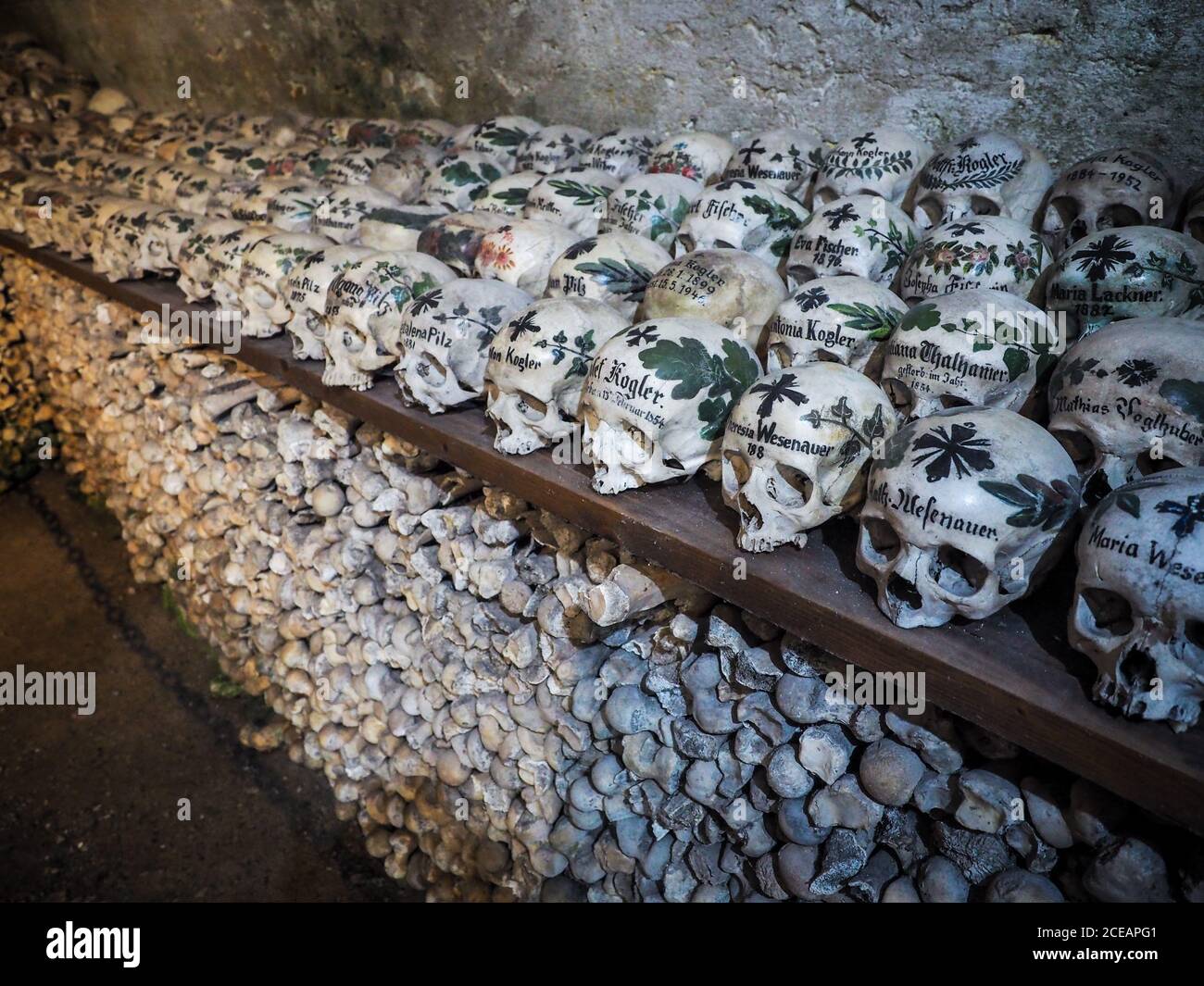 Skelett mit namen des knochen -Fotos und -Bildmaterial in hoher ...