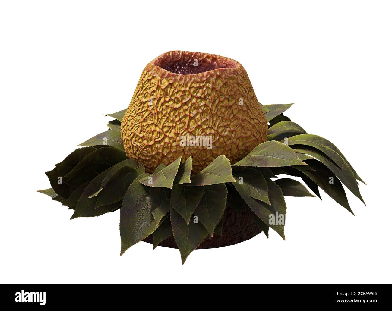 Leben pflanzen -Fotos und -Bildmaterial in hoher Auflösung – Alamy