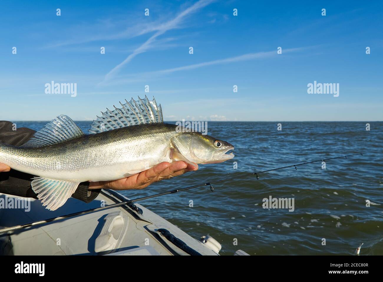 Zander fischerboot Stockfotos und -bilder Kaufen - Alamy