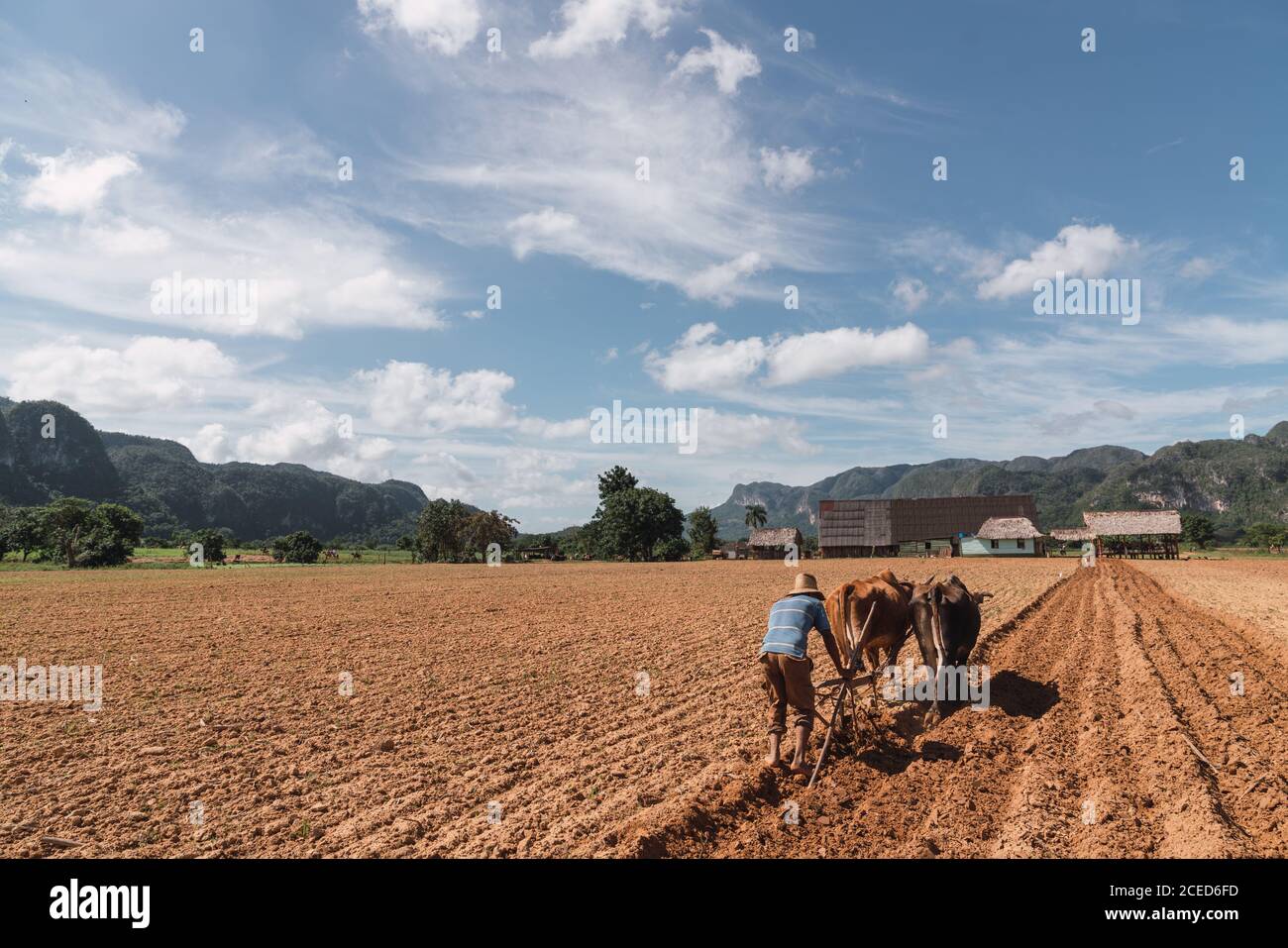 Pflug Mann Stockfotos und -bilder Kaufen - Alamy