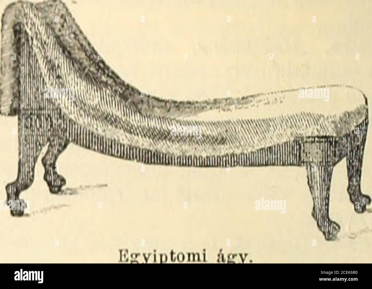 Lectus triclinaris -Fotos und -Bildmaterial in hoher Auflösung – Alamy