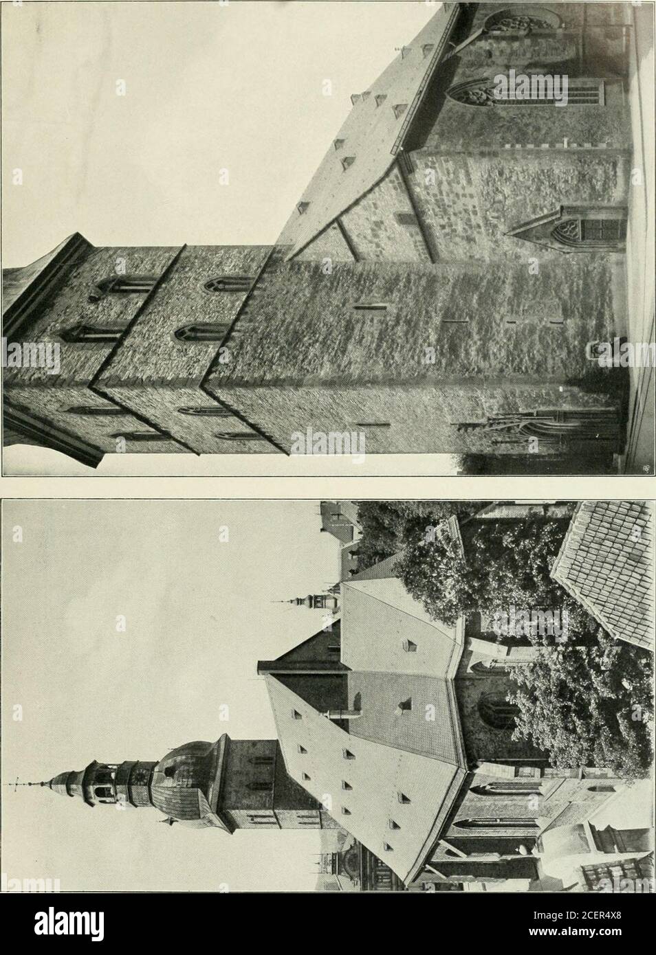 Falke t 2 -Fotos und -Bildmaterial in hoher Auflösung – Alamy