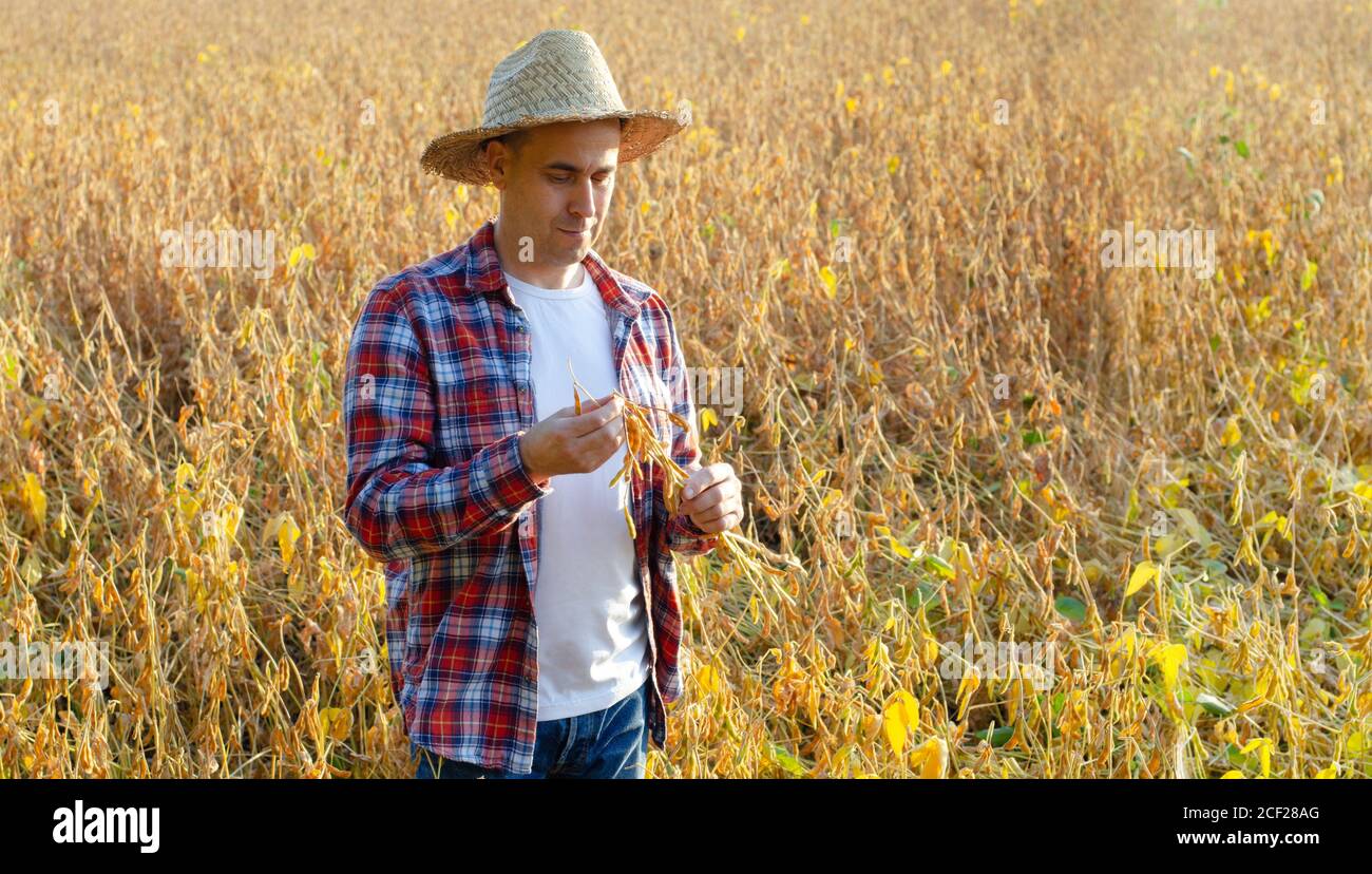 Auf Dem Feld Leben Stockfotos und -bilder Kaufen - Alamy