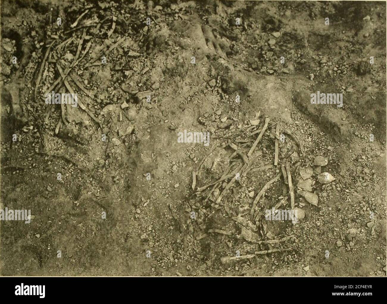 . UR-Ausgrabungen. GRUNDRISS DER TODESGRUBE UND GRABKAMMER DER KÖNIGIN ...