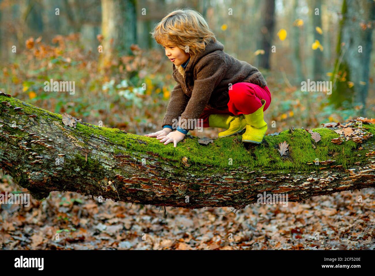 Kleiner Junge Kind auf einem Baum Ast. Kind klettert auf einen Baum ...