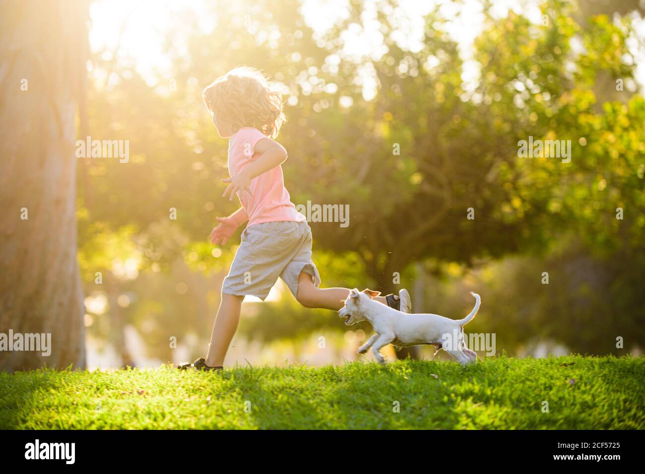 Spaziergang Mit Dem Hund Stockfotos und -bilder Kaufen - Alamy
