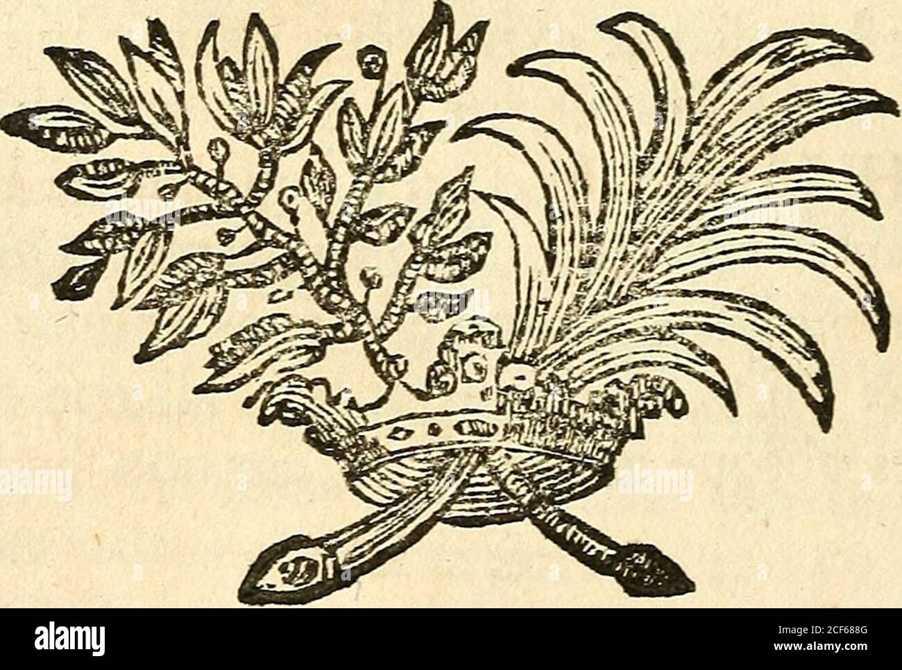 Opuscula anatomica -Fotos und -Bildmaterial in hoher Auflösung – Alamy
