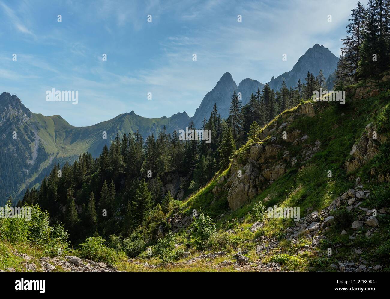 Bergkette Gruyere, Schweiz Stockfotografie - Alamy