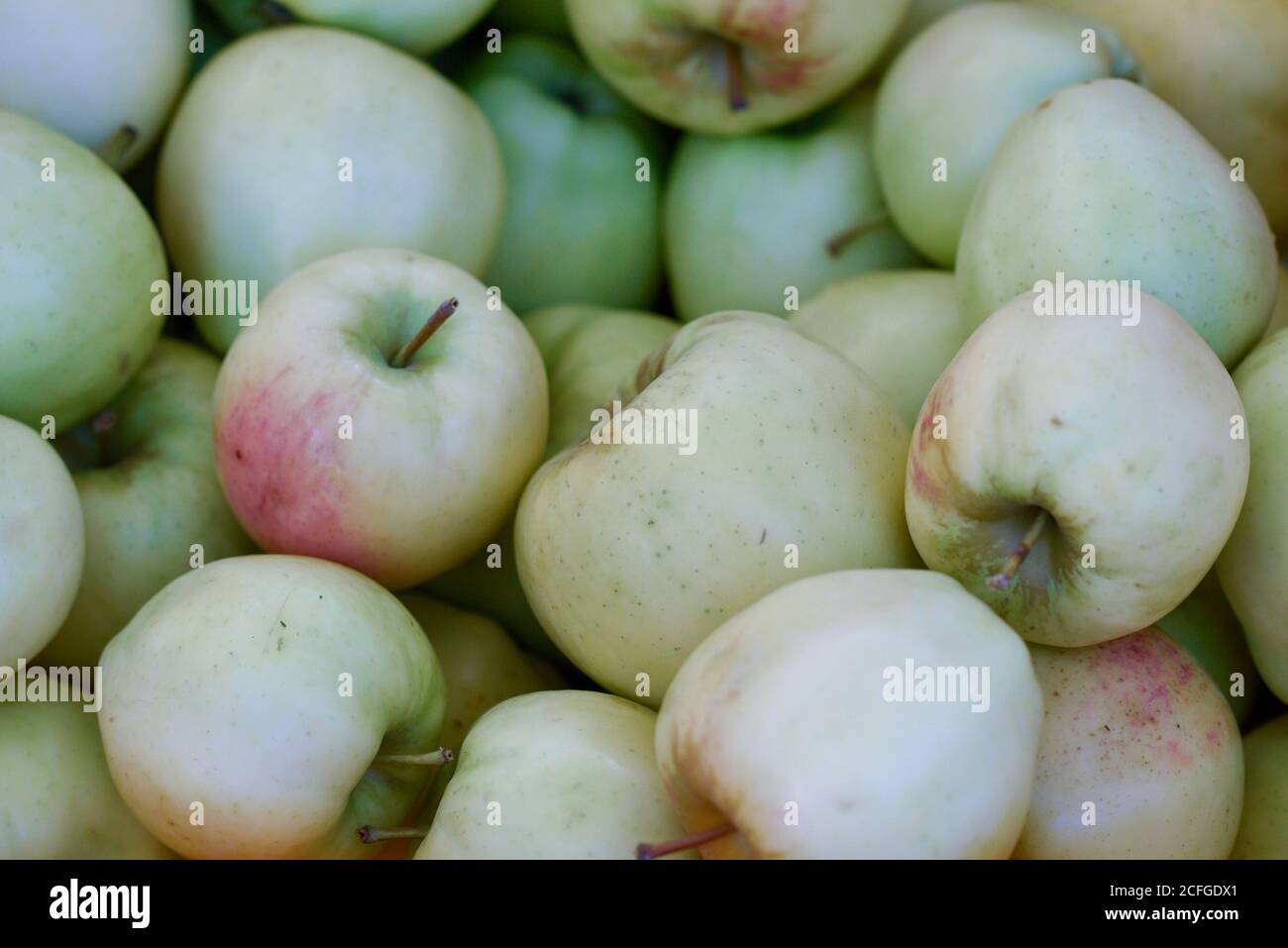 Apfelgarten markt -Fotos und -Bildmaterial in hoher Auflösung – Alamy