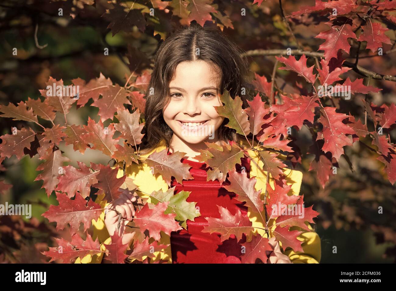 Herbstliche Stimmung auf. Kleine Kinder spielen an der frischen Luft im ...