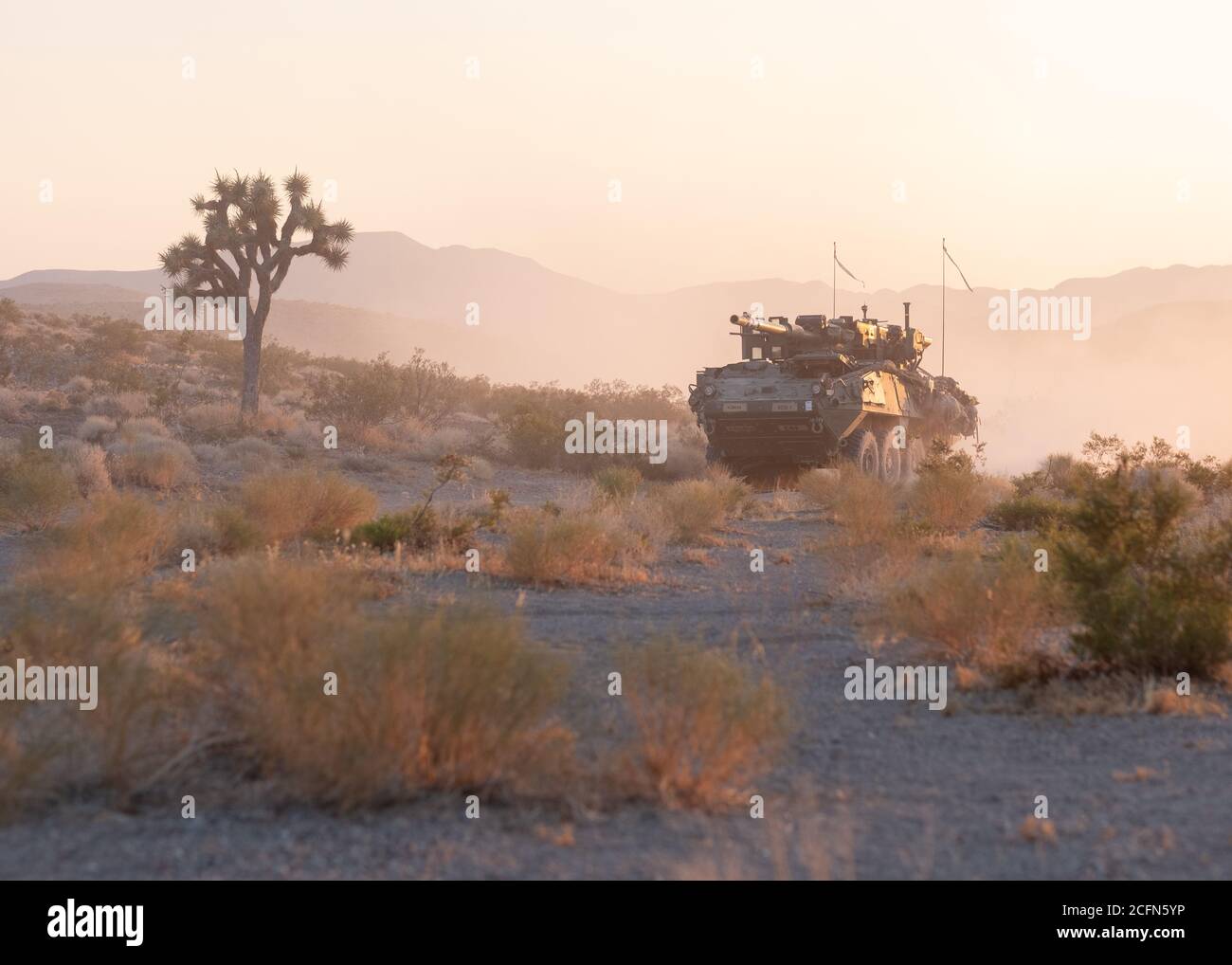 M1128 mobile gun system -Fotos und -Bildmaterial in hoher Auflösung – Alamy