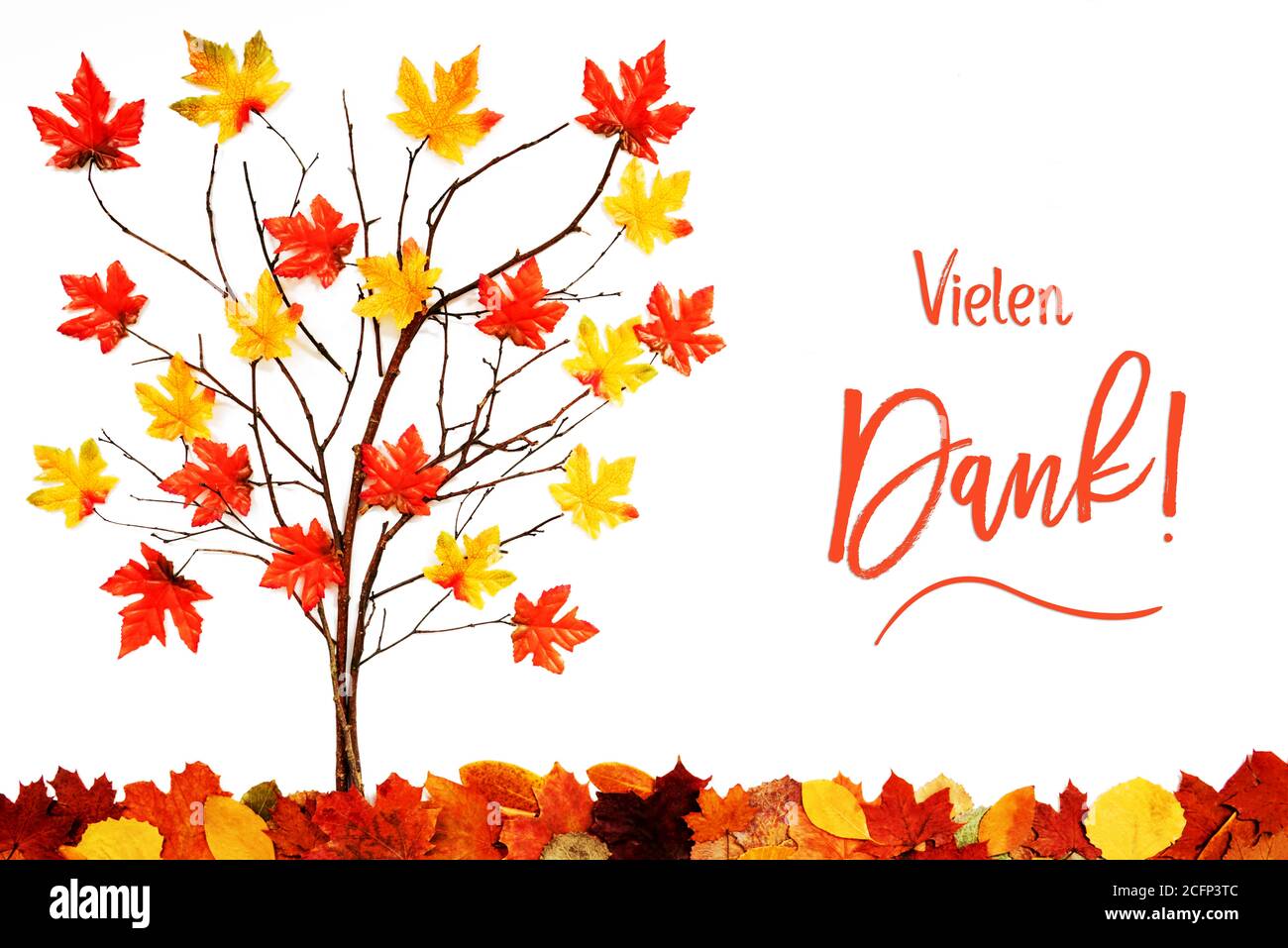 Baum Mit Buntem Blattdekor, Kalligraphie Vielen Dank Bedeutet Danke ...