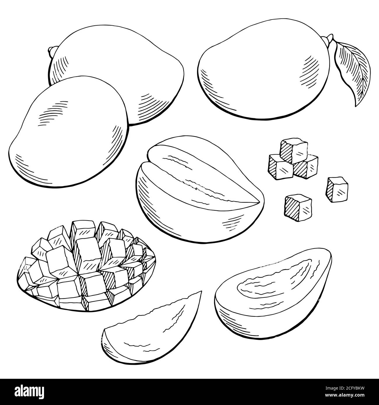 Mango Obst Grafik schwarz weiß isoliert Skizze Illustration Vektor ...