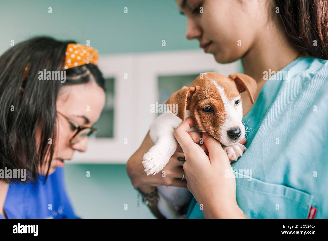 Junger Tierarzt Stockfotos und -bilder Kaufen - Alamy