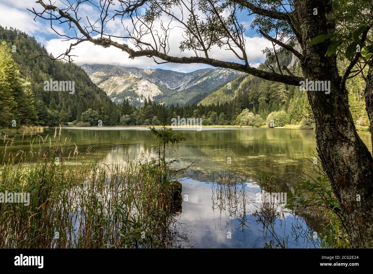Bergsee alias Dürrsee (Dürrsee) bei Seewiesen in der Steiermark ...